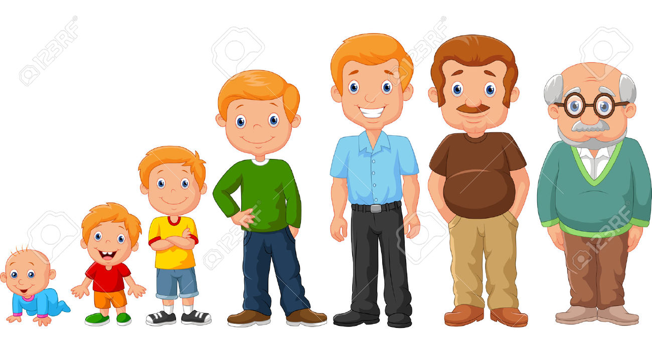 Ciclos Vitales: LOS SERES HUMANOS