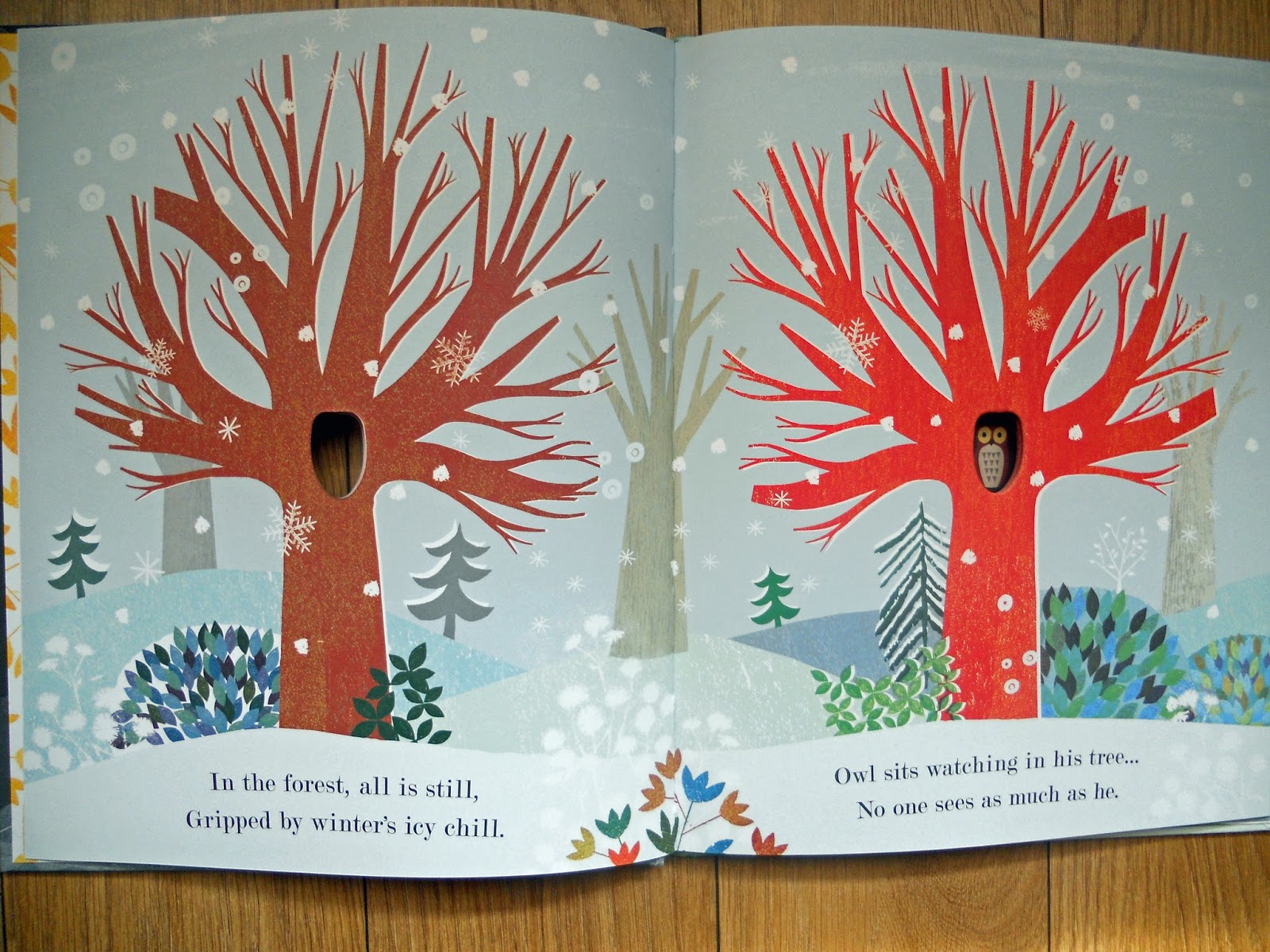 Missus B's Picture Book Reviews: Tree: Seasons come, Seasons Go