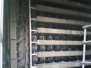 Struktur Jaringan Telkom ~ Muhammad Anwari