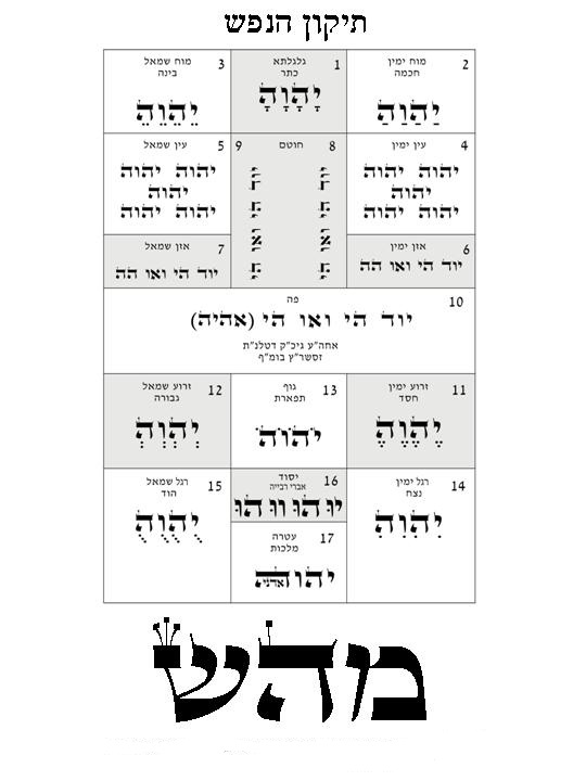 Kabbalah y Torah en Expansión : CONCIENCIA PARA HACER EL TIKUN HANEFESH