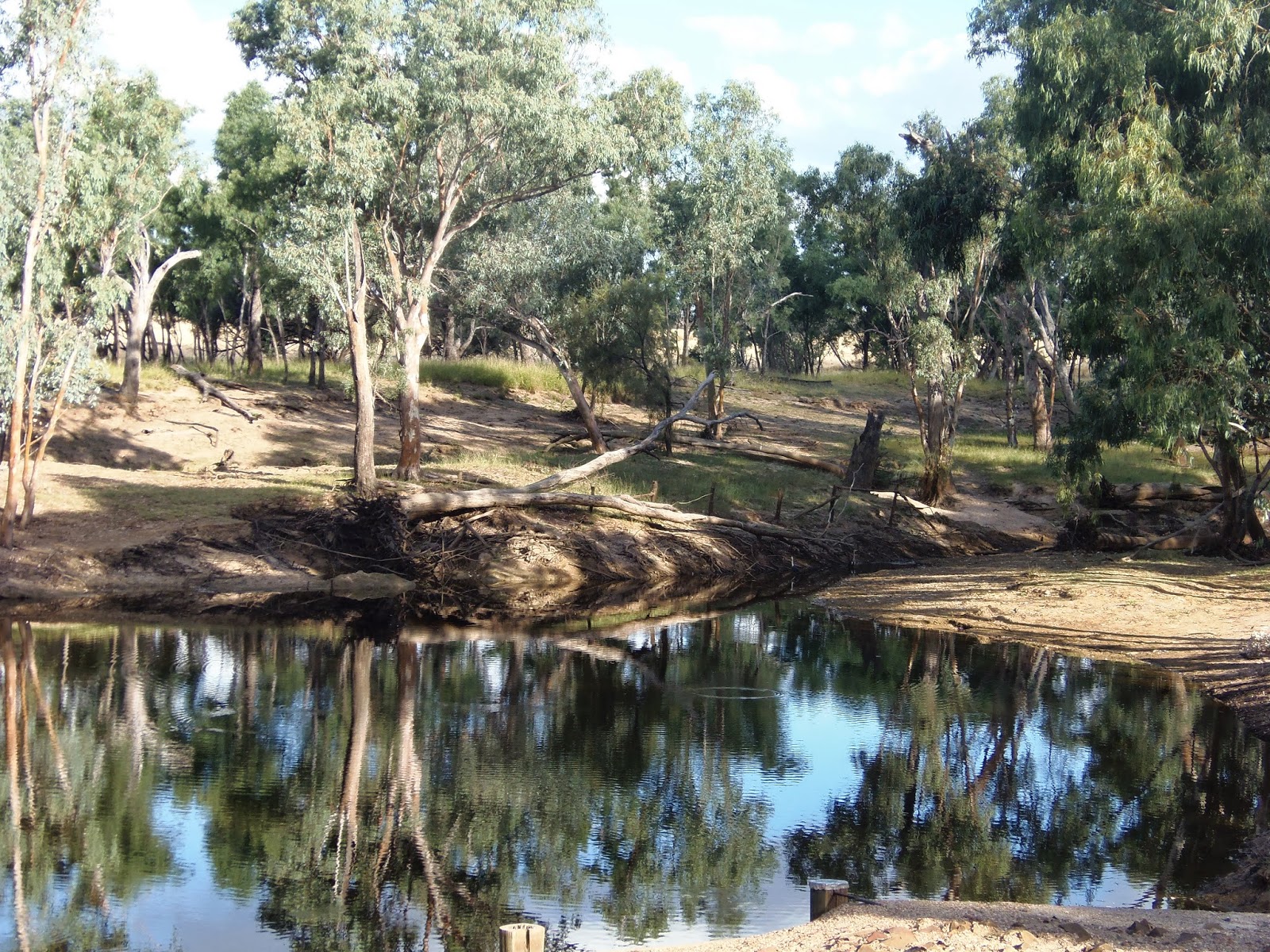 Solo Steve On The Road: LLOYD JONES WEIR - BARCALDINE Qld
