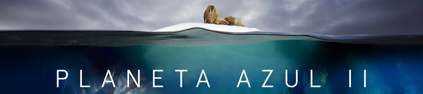 El Chiro Ilustrado: Documental "Planeta Azul II" (2017)