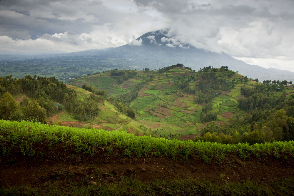 El Peso Del Alma.: Rwanda
