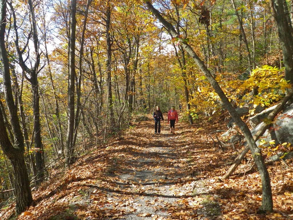 Cultured Carbon County: Switchback Railroad Hikes - 2010 and Onward