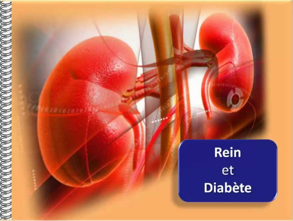 Insuffisance Rénale: Comment améliorer DFG 26.4 pour les patients ...