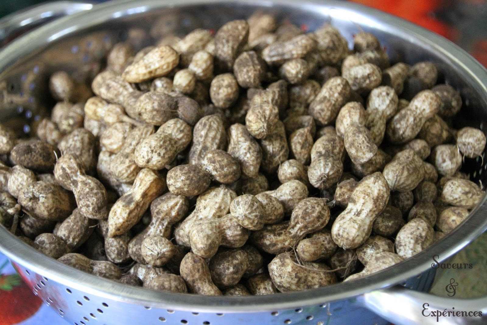 Voyages et Expériences : A l'ile Maurice, on Adore les Gadjaks!