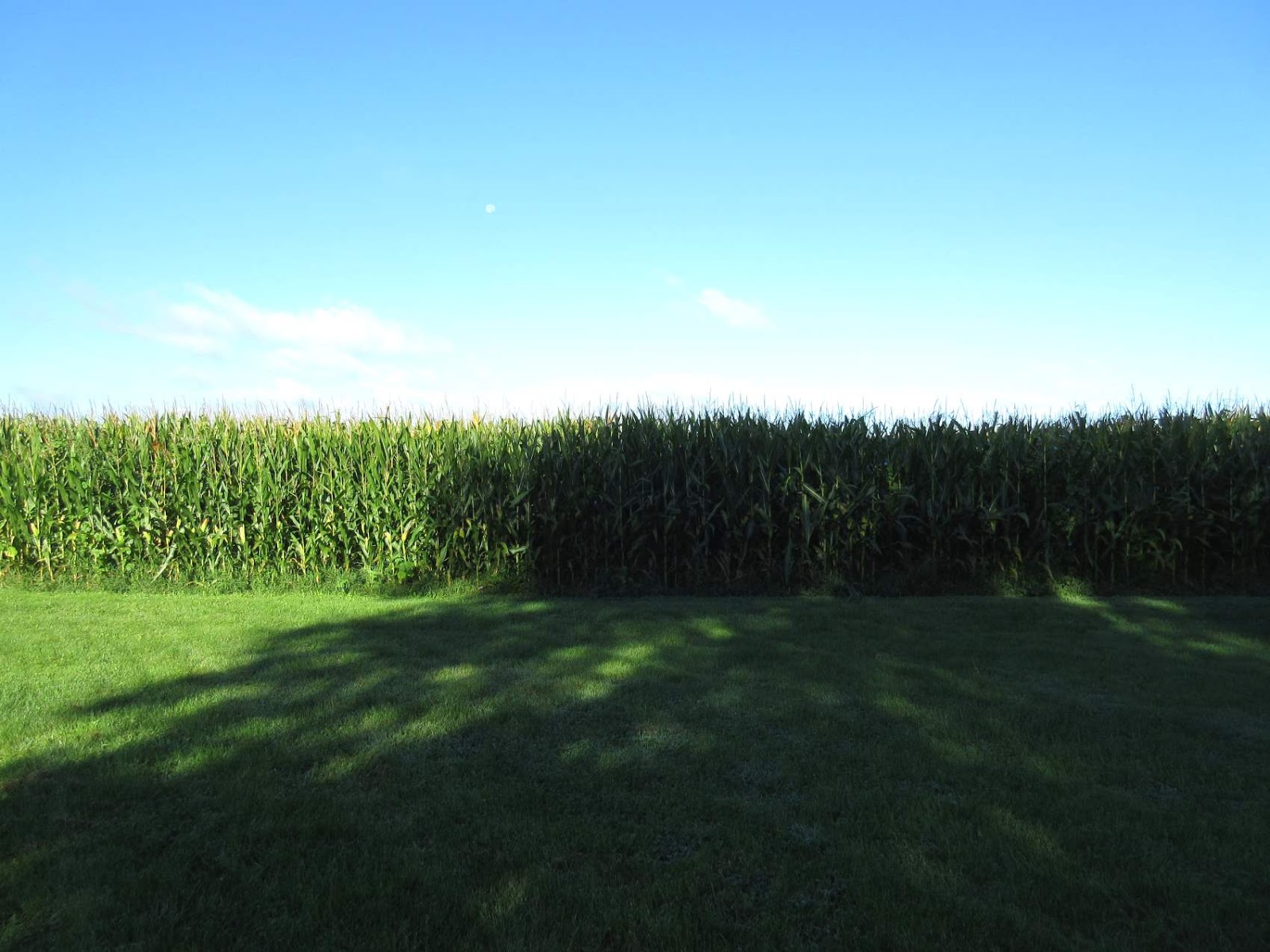 Three Things Very Dull Indeed