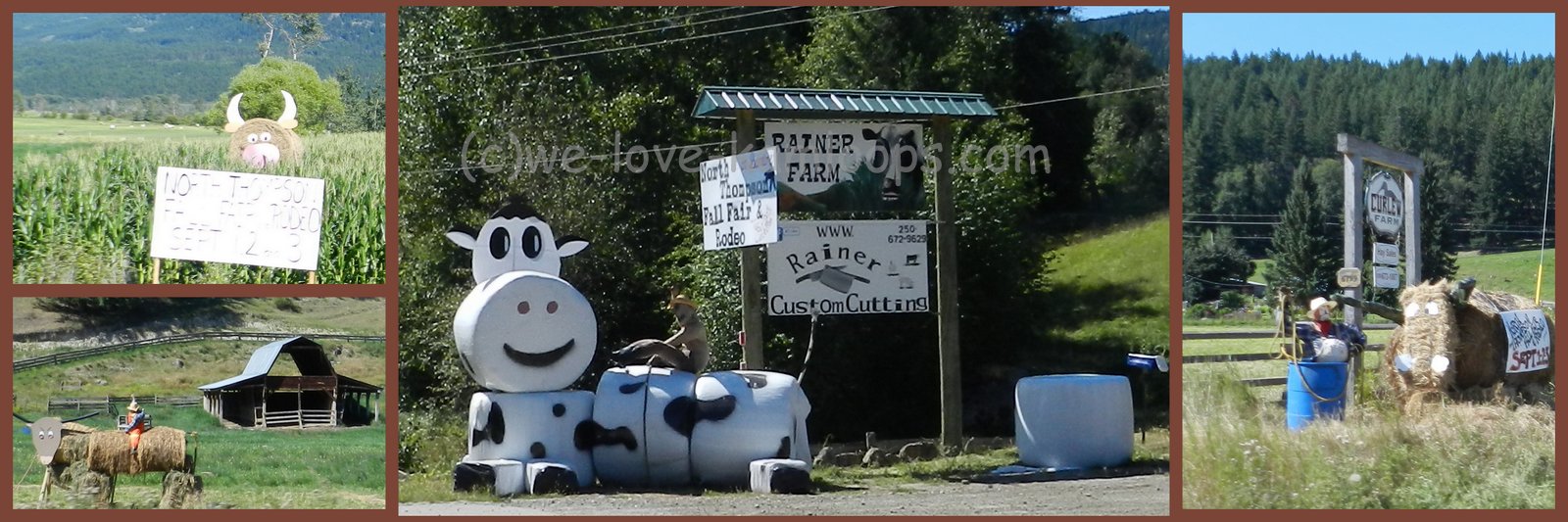 we-love-kamloops: North Thompson Fall Fair and Rodeo ~ Barriere, BC