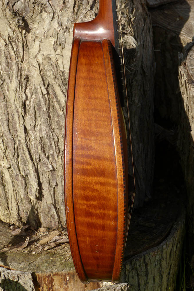 c.1923 Weymann Style 30 Mandolute Mandolin