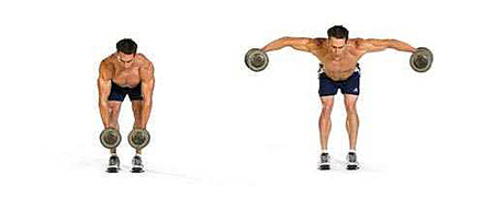 5 Latihan Membentuk Otot Bahu | Mulia Fitness