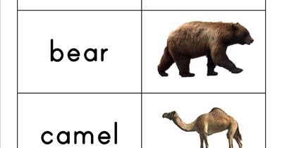 Memorizing the Moments: Animal Matching Cards