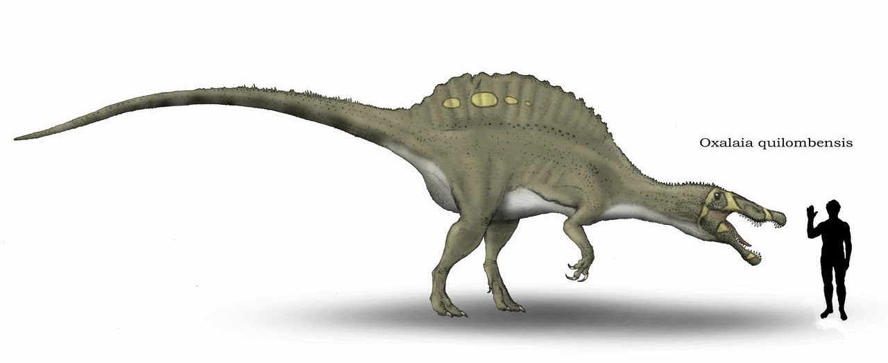 Dinossauros: Oxalaia ~ MitoLivros