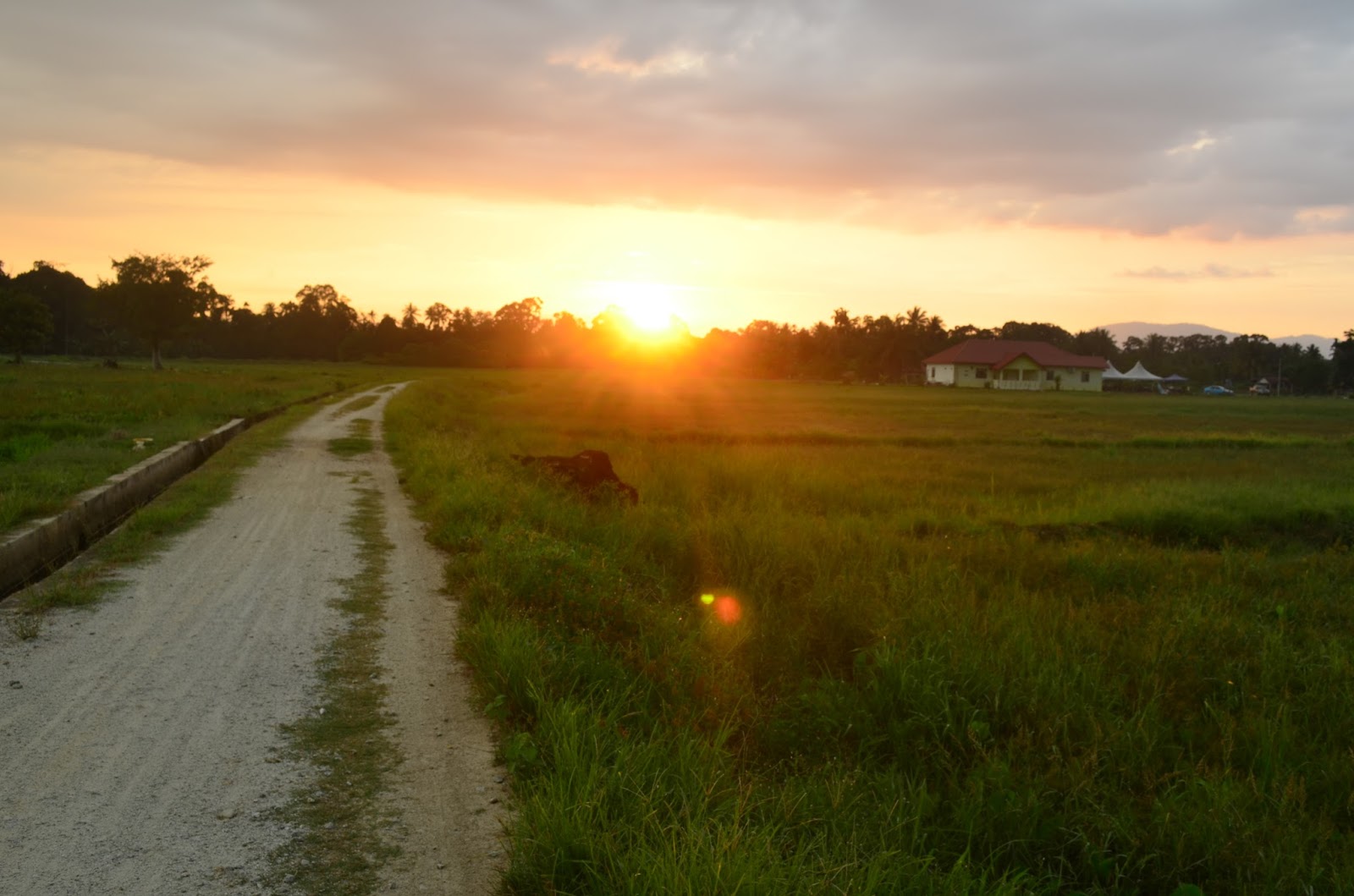 TRavel to noWhere: LATA RAMBUNG at SELAMA PERAK