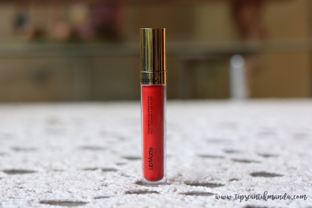 Dissy Cosmetics Lip Matte 006 Ayunda - Review & Swatch - Beauty Journal