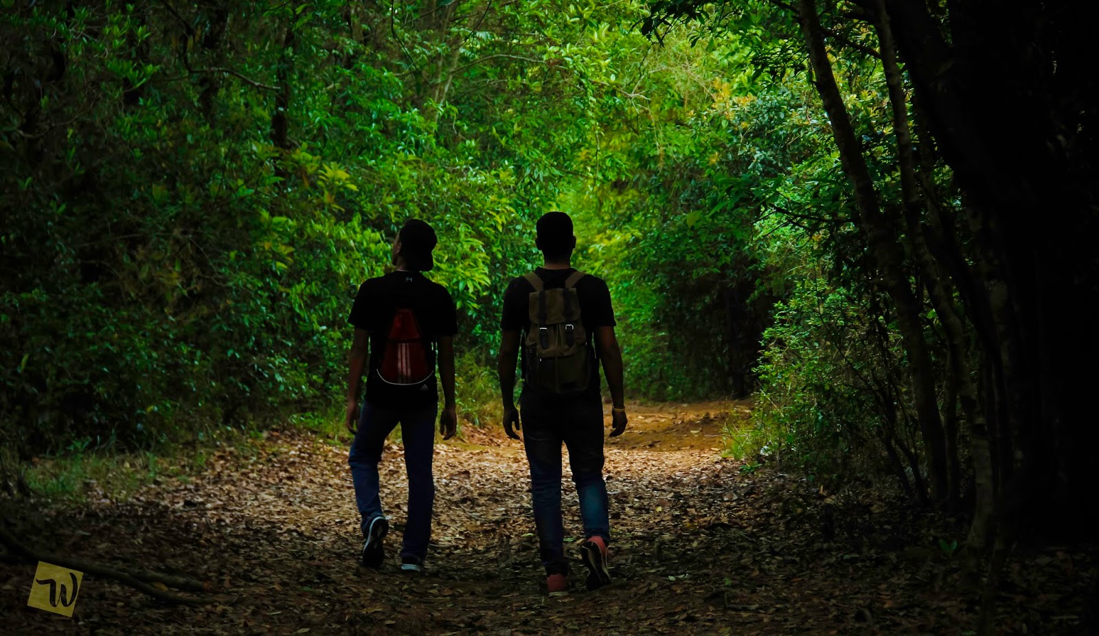 Hiking to Jamacho - Wondervibes