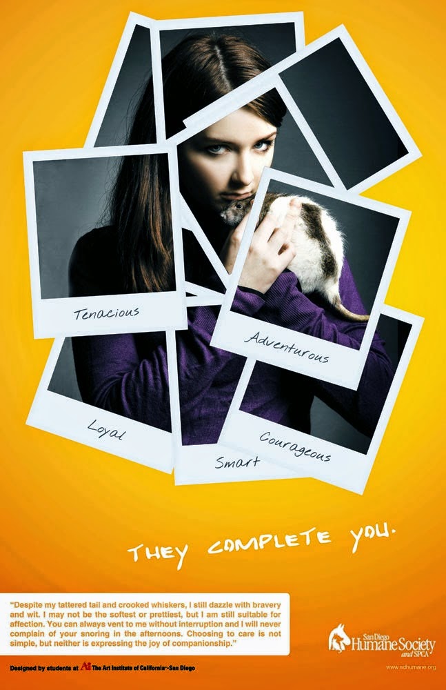 Humane Society Ad Campaign - test345
