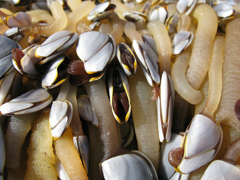 NeuroDojo: March 2013