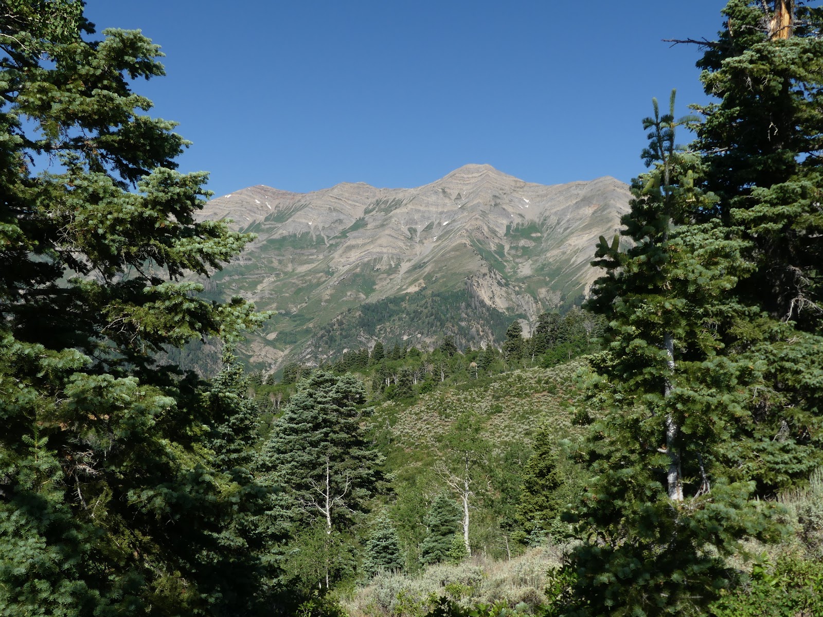 Land Cruising Adventure: Nebo Loop | Ponderosa Campground | Nephi | Utah
