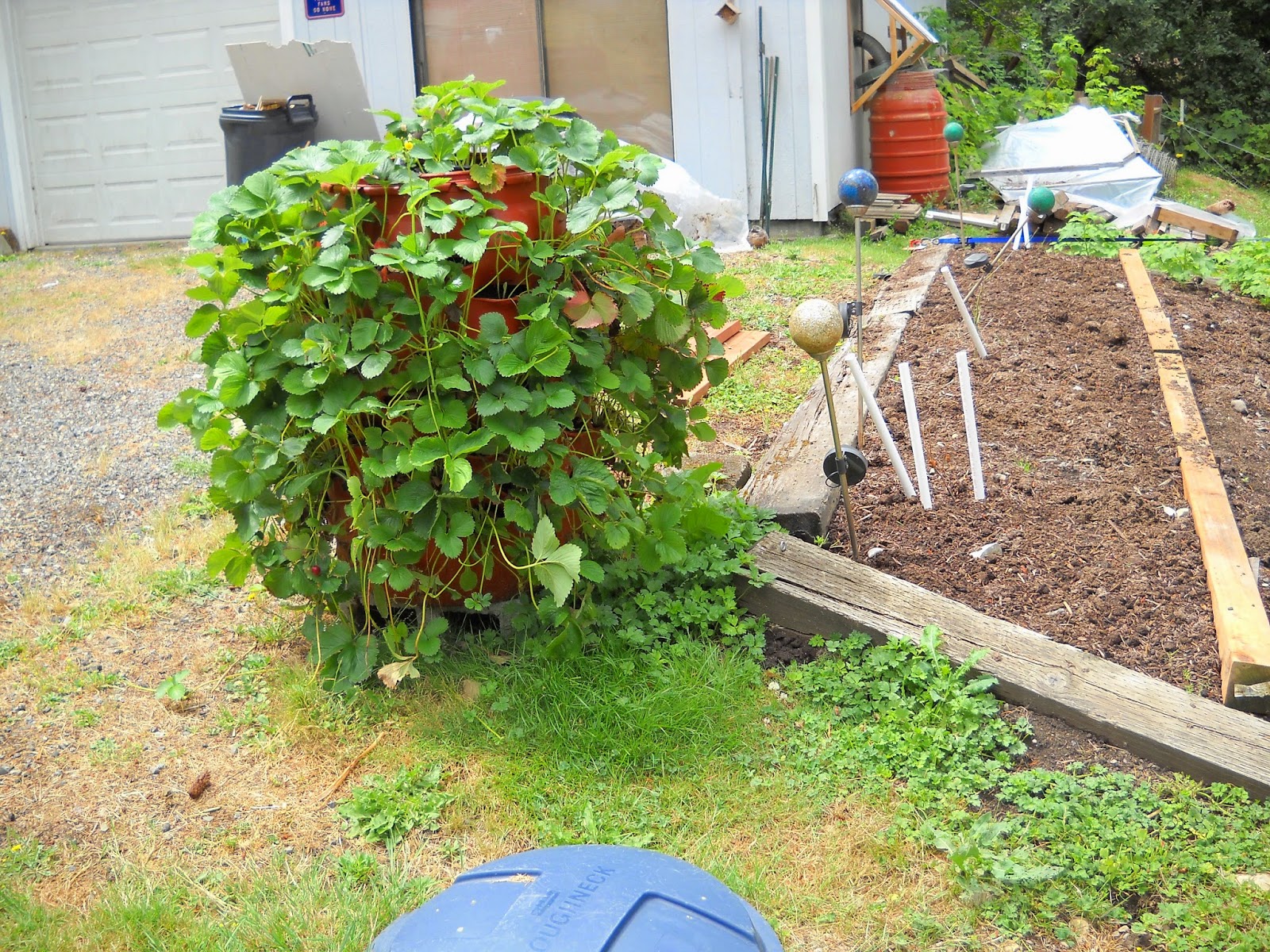 Handcrafted by George: Melanie's Strawberry Barrel