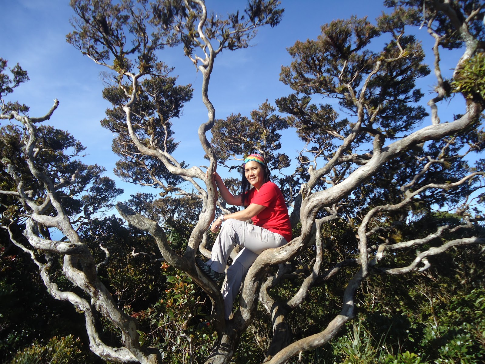Byaheng Jologs (Lakwatsera): Mt. Tapulao, Palauig, Zambales