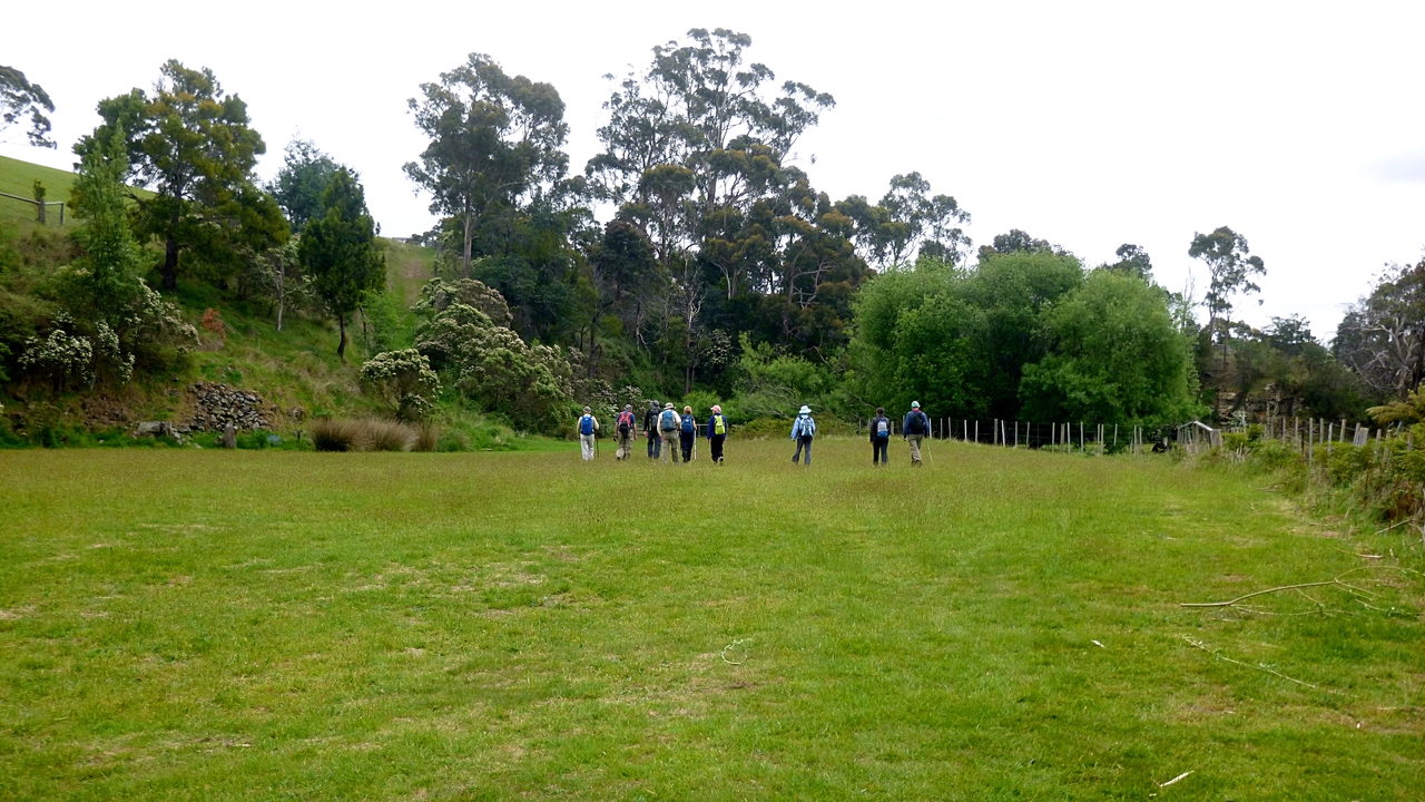 Ramblings: Nierinna Creek Tramway Hill Margate Rivulet 2015