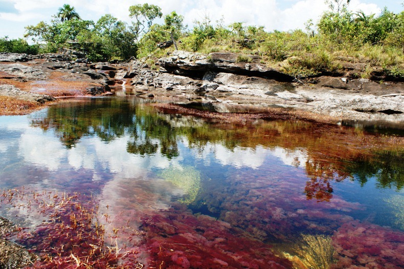 Aspundir: Cao Cristales a Beautiful Rainbow River of Paradise in Colombia
