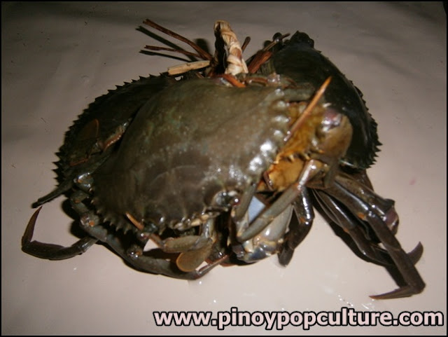 Pinoy Pop Culture: "Alimango" (Crab): The Subject of a Popular Children ...