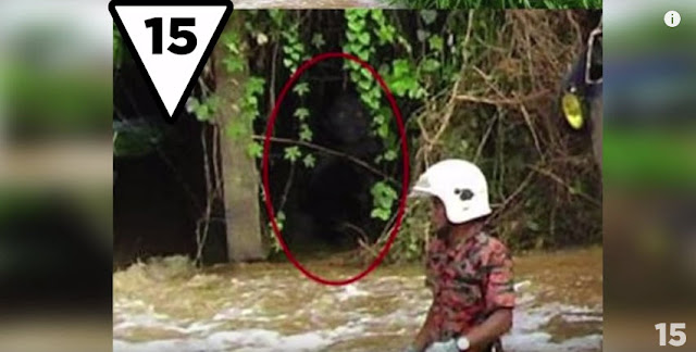 Top 15 CREEPY Hidden Things In Pictures