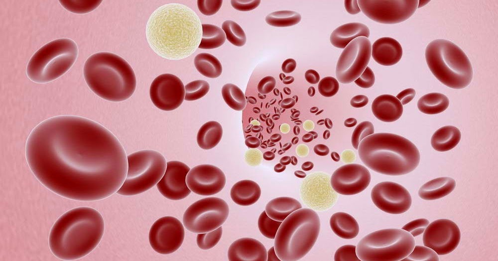 How Is The Blood Type Determined Natural And Healthy Life Guide With how-is-the-blood-type-determined-natural-and-healthy-life-guide-with