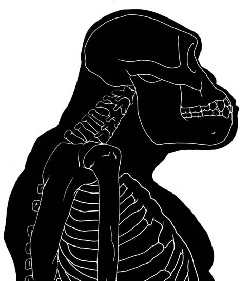 Synapse Science Magazine: August 2012