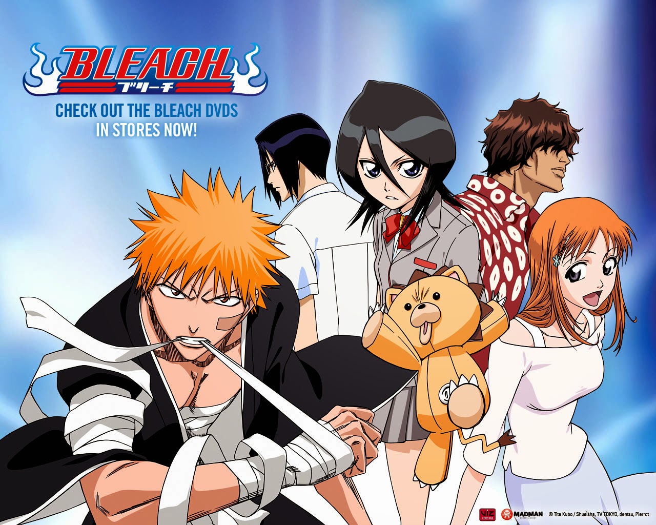 Ryu no Tsubasa♥: Reseña anime: Bleach.