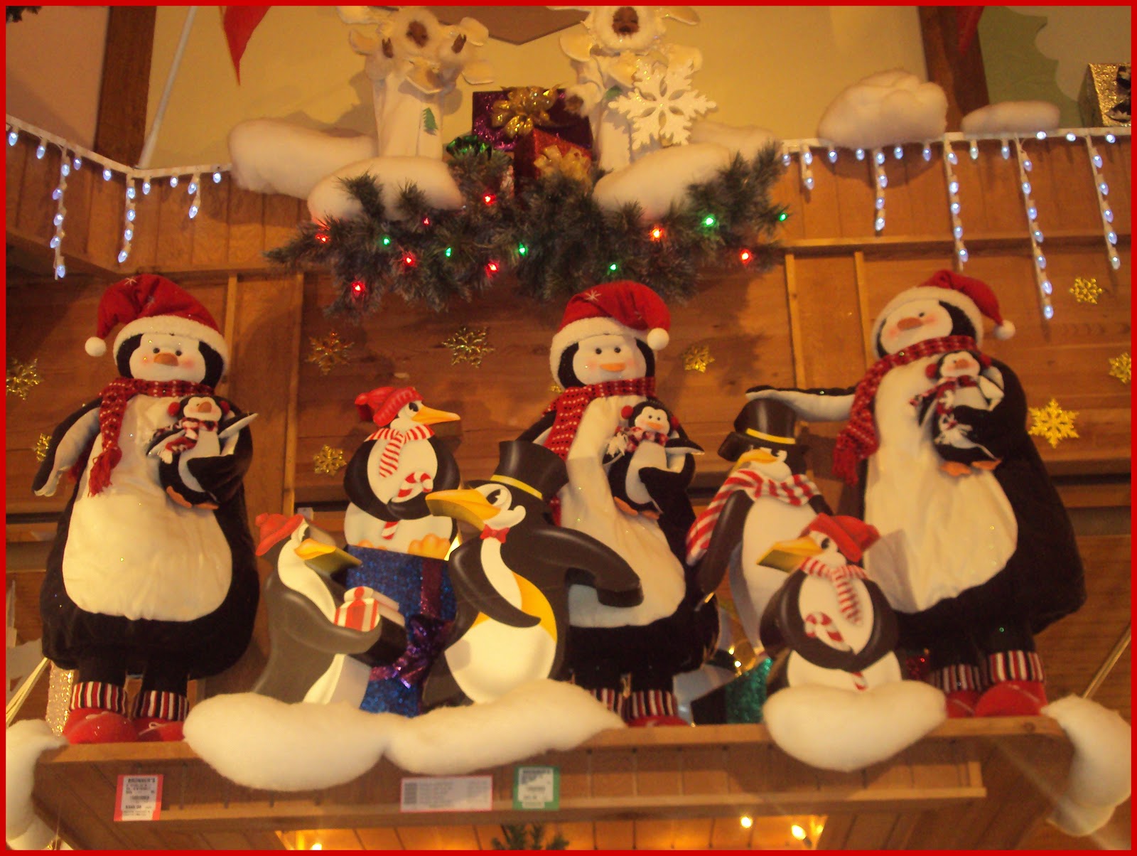 Random Christmas And Winter Photos