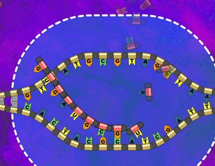 Unseen Rare Collection: Dna Animation,Artwork,Genes,Chromosomes ...