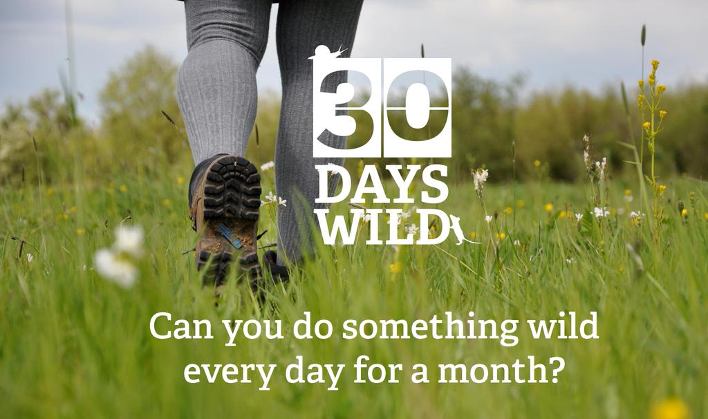 30 Days Wild... Are you going wild in June? · Discuss · 365 Project