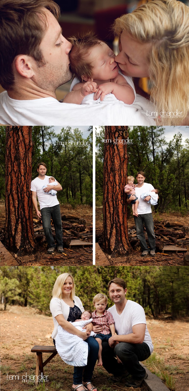 Tami Chandler Photography