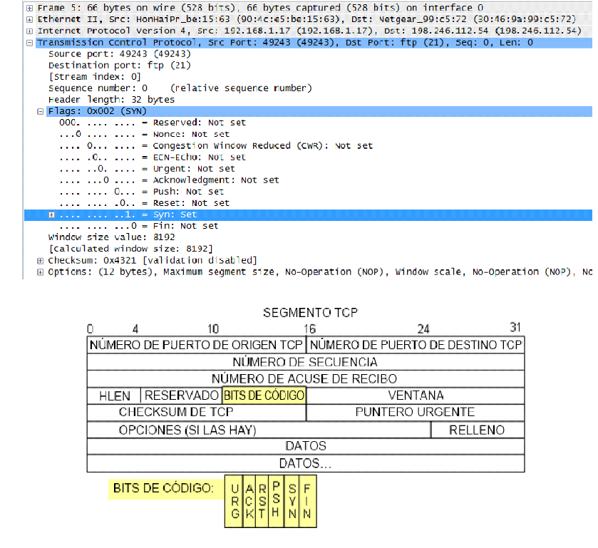 CISCO CCNA 1 v5.0: 7.2.4.3 Laboratorio