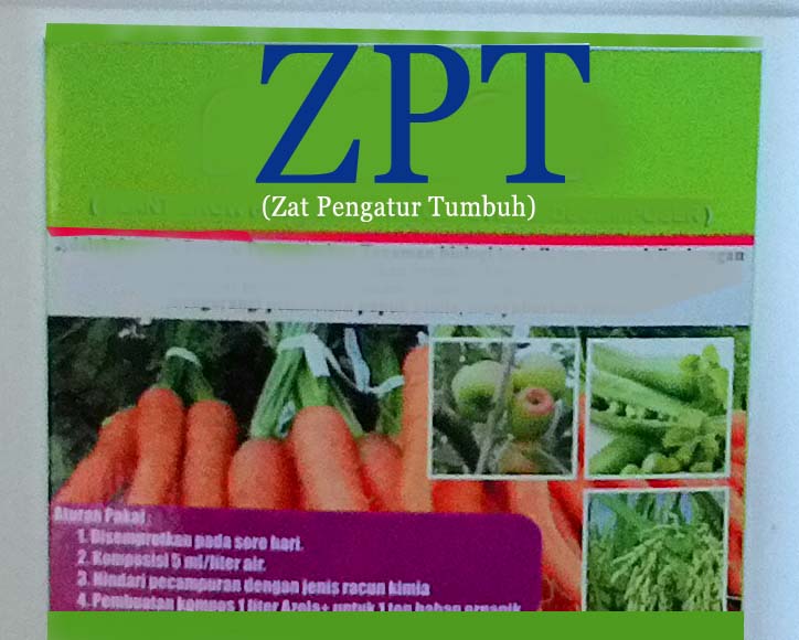 Agritani: Mengenal Jenis dan Pengaruh ZPT pada Tanaman
