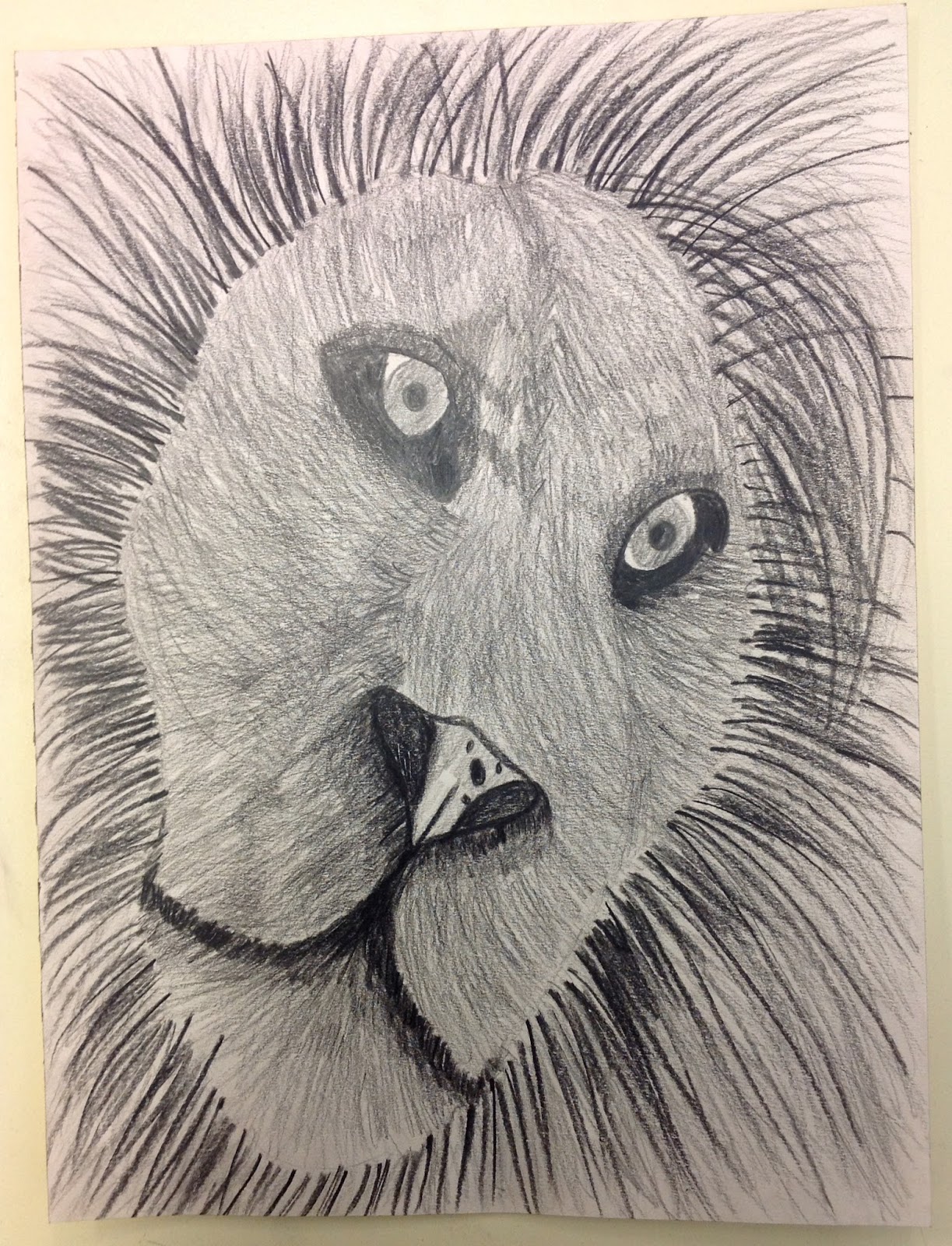 FURRY FELINES - Texture Drawing