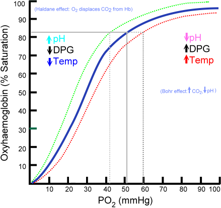 Dental Mnemonics: Oxygen-haemoglobin dissociation curve: Effect of shifts