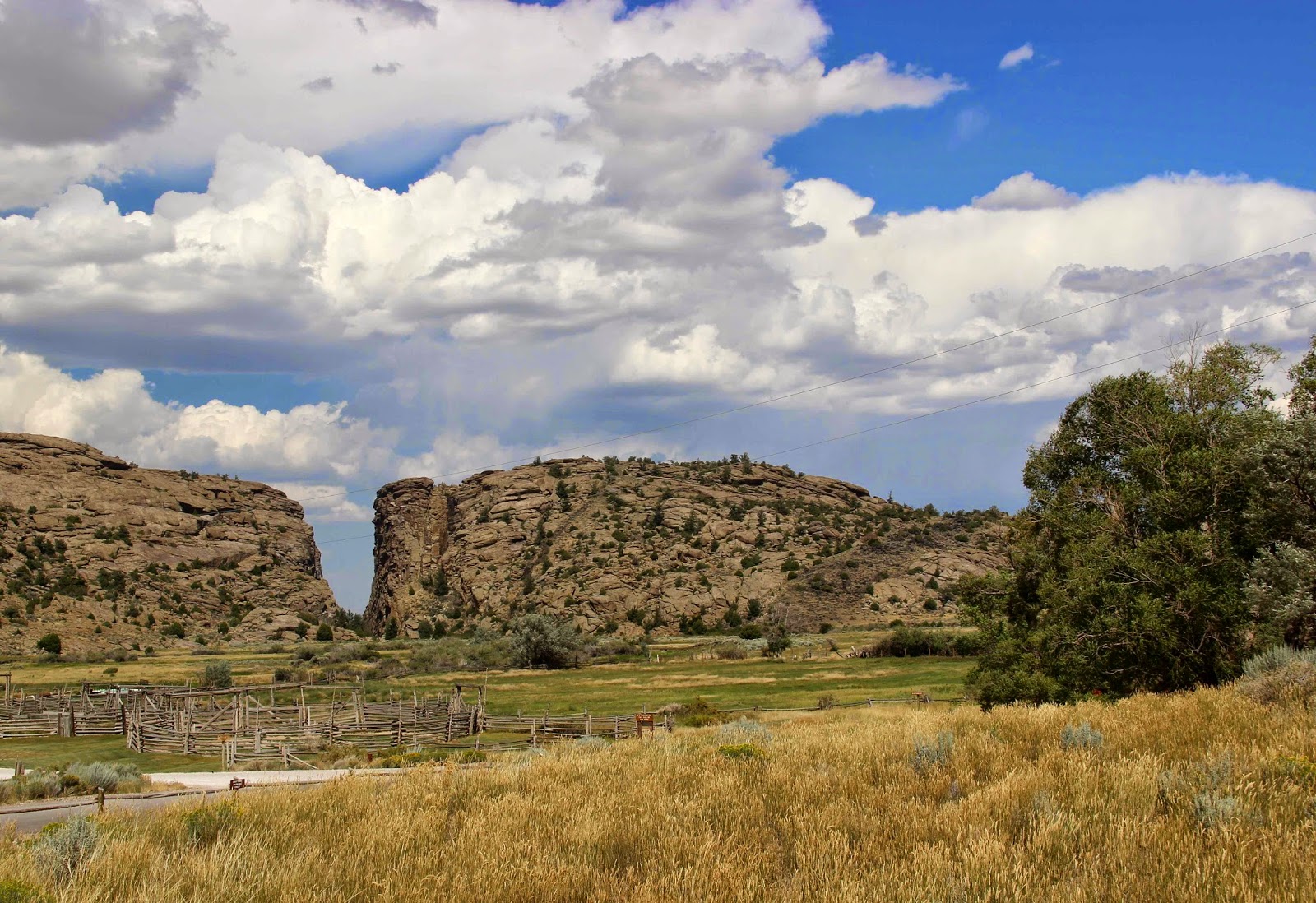 In the Company of Plants and Rocks: Sweetwater River at the Devil’s Gate