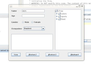 Computer Programming Language: Java Swing Application