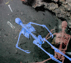 of Battlefields and Bibliophiles: Was one of your ancestors lost on the ...