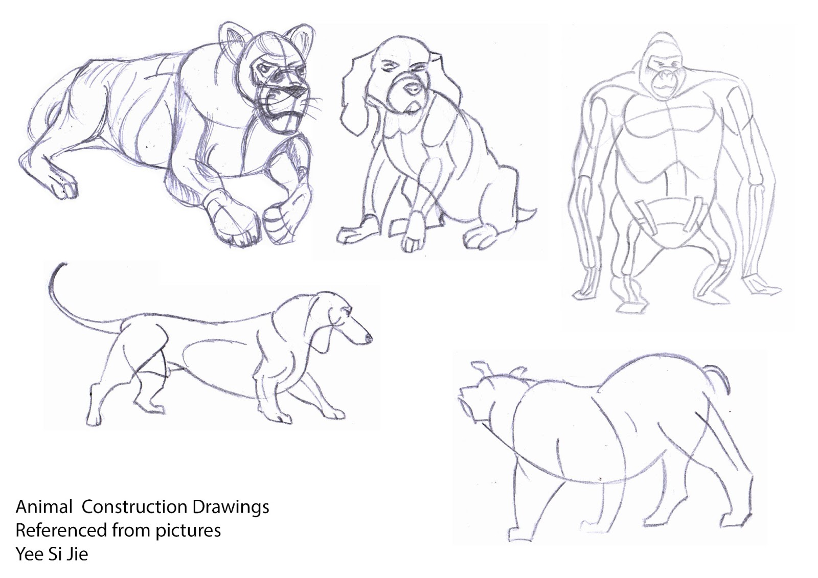 K9's Port: Animal Drawings