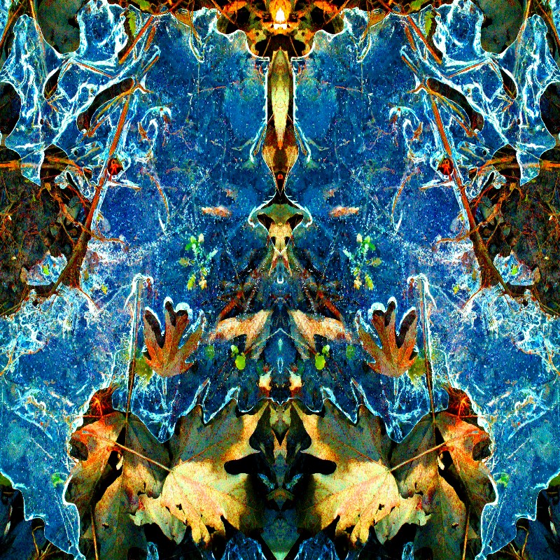 MarianneDowFoto Blog - Art Photography by Marianne Dow: Frozen Fall ...