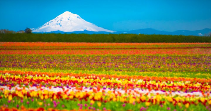 Origins Oregon: A Portland Spring