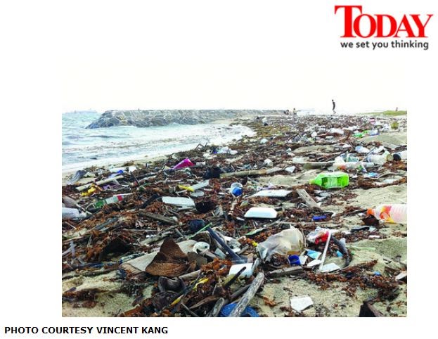 wild shores of singapore: Sudden trash build up at East Coast? ICCS ...