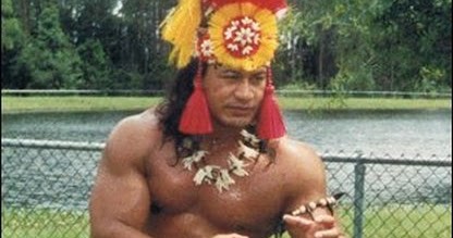 STRENGTH FIGHTER™: The Evolution Of Sivi Afi