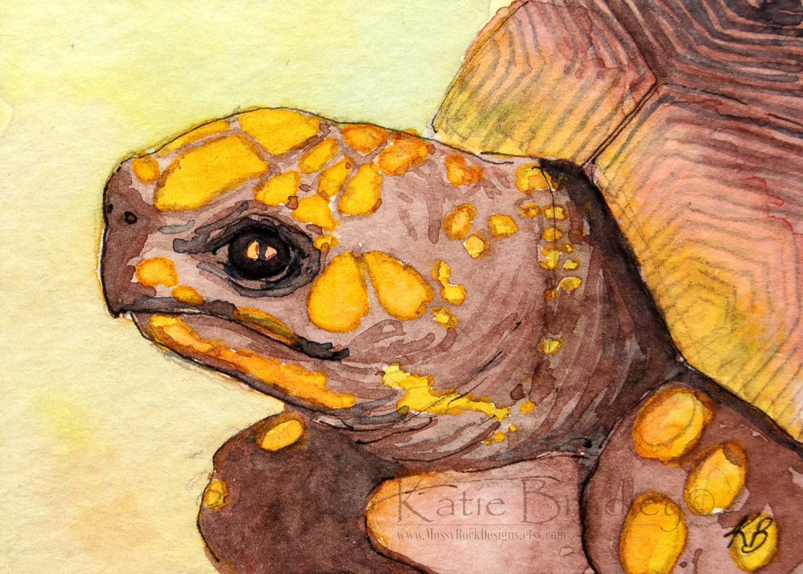 Tortaddiction: New Tortoise Paintings in my Etsy shop!