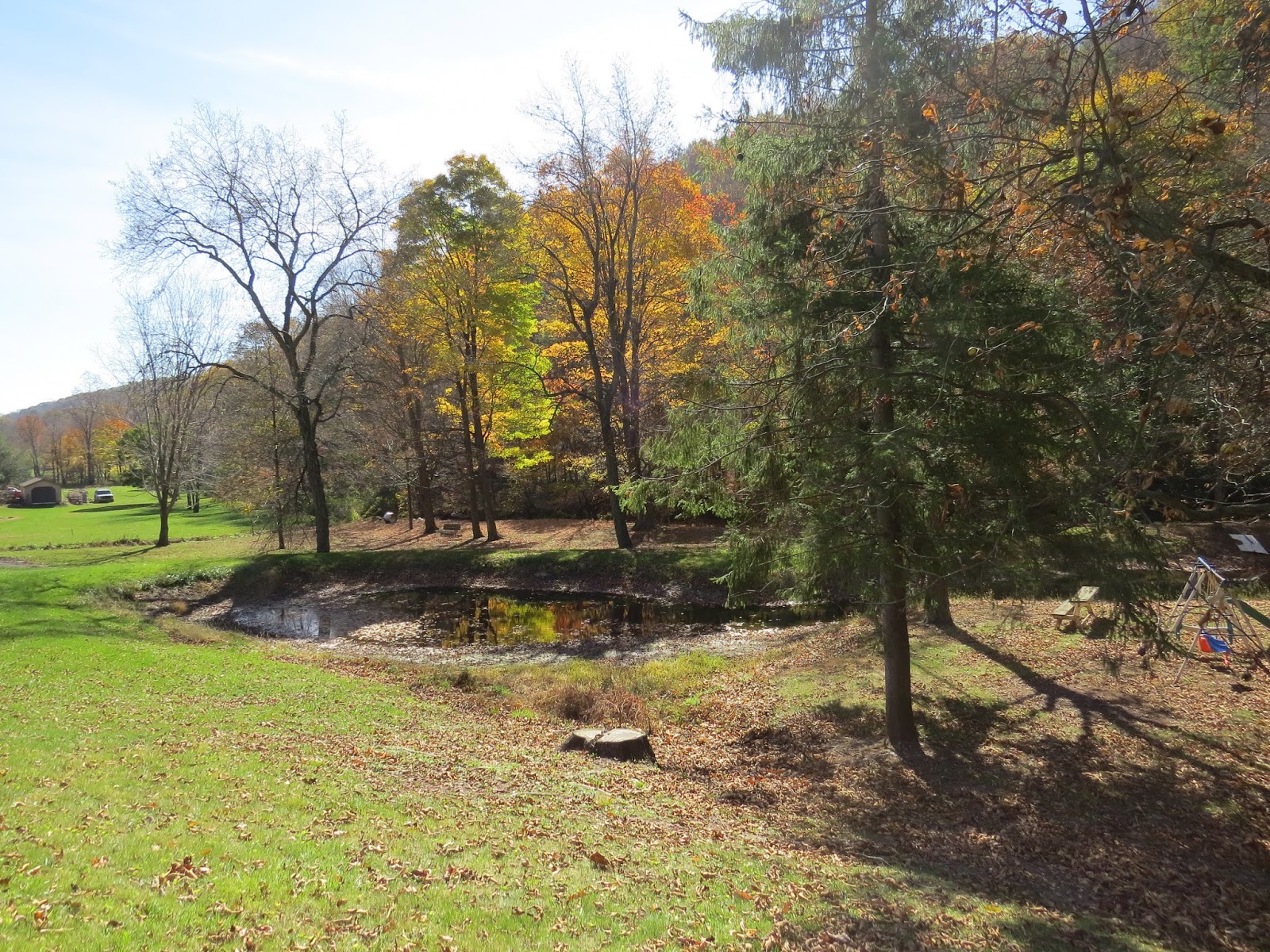 Roots Trek: George Reininger and Mary Hine Reininger