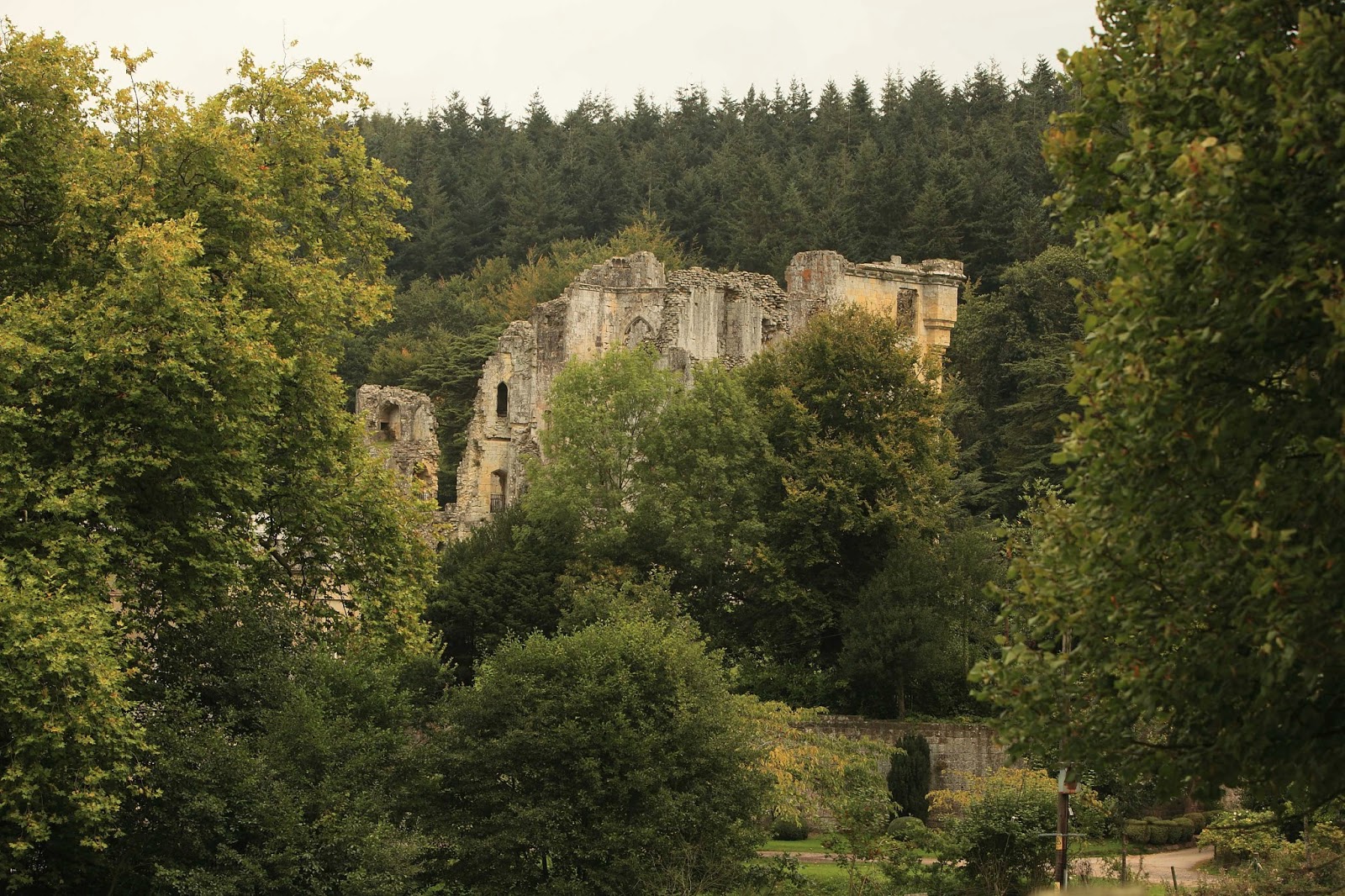 Cranborne Chase Area of Outstanding Natural Beauty Blog: Tisbury named ...